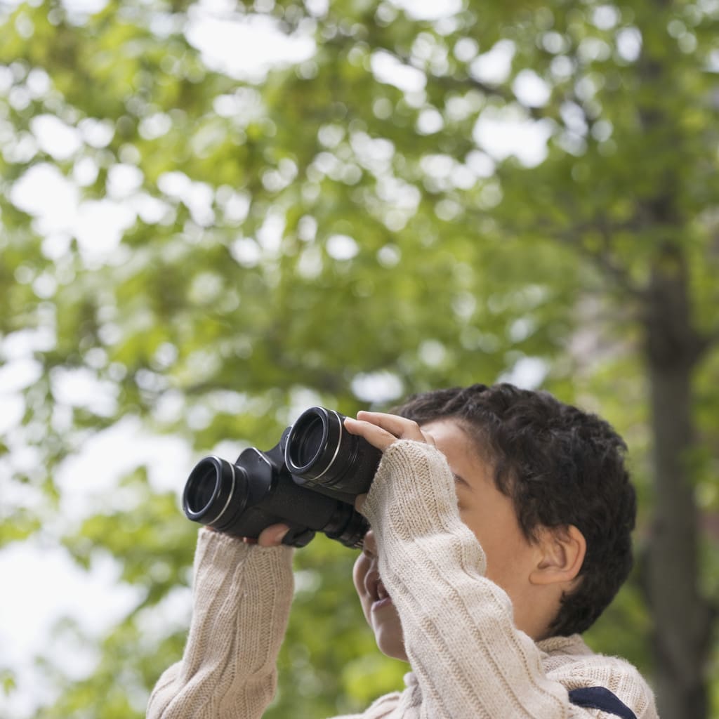 Boy using binoculars outdoors | Mum In The Madhouse
