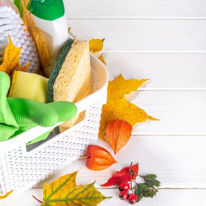 Autumn Cleaning Naturally: Eco-Friendly Tips for a Fresh Home