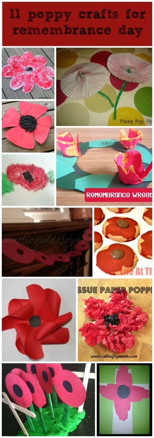 11 Poppy Crafts, Art, and Food Ideas for Remembrance Day