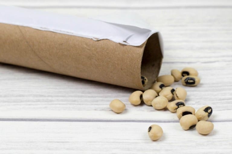 DIY Rainbow Rainmaker – Easy Cardboard Tube Craft for Kids | Mum In The ...