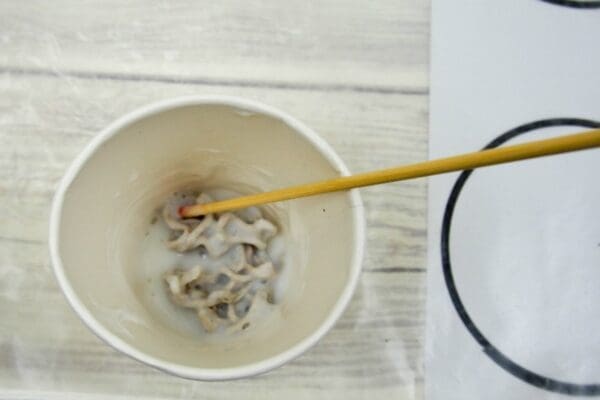 Stained Glass Earth Craft – Fun DIY Project for Kids | Mum In The Madhouse