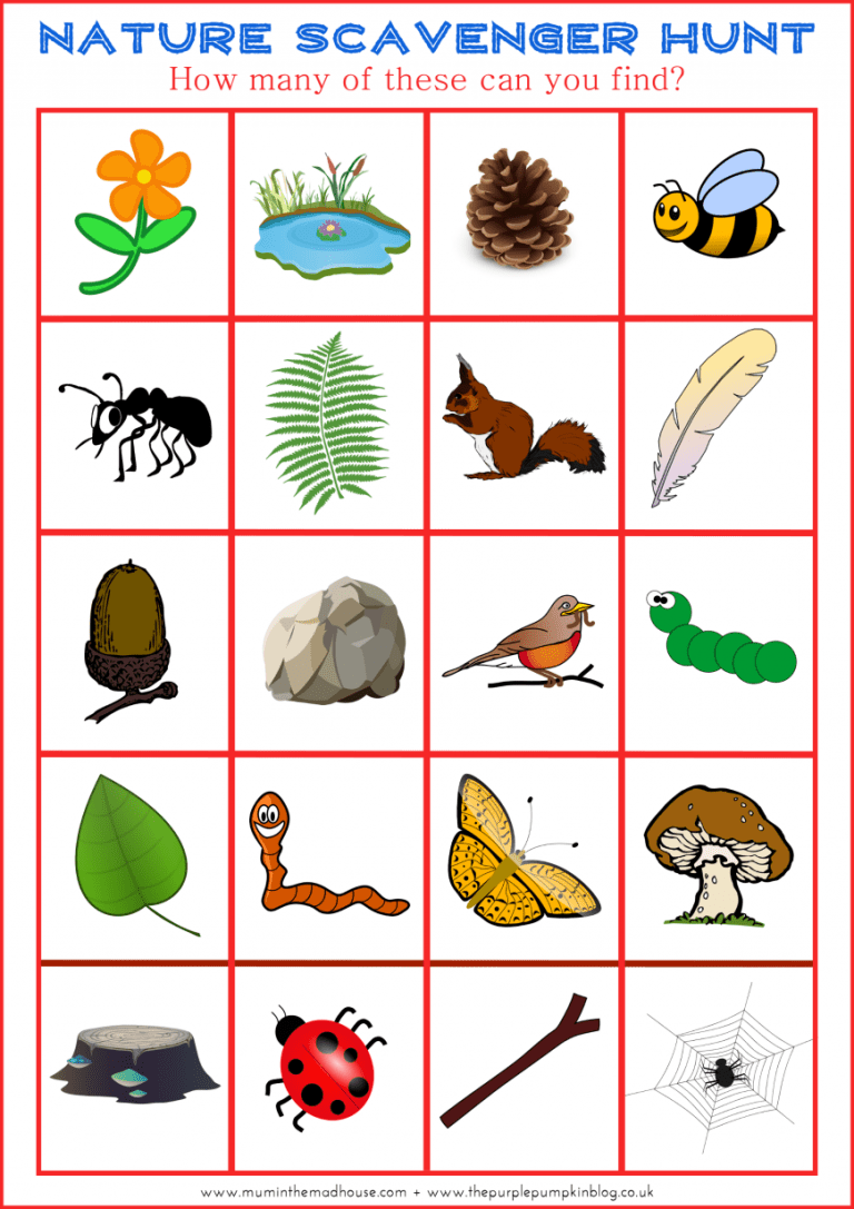Go on a Nature Scavenger Hunt | Free Printable for Outdoor Fun | Mum In ...