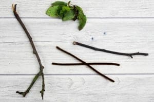 Make Your Own Stickman Craft – Fun Twig & Button Activity for Kids
