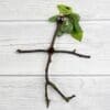 Make Your Own Stickman Craft – Fun Twig & Button Activity for Kids