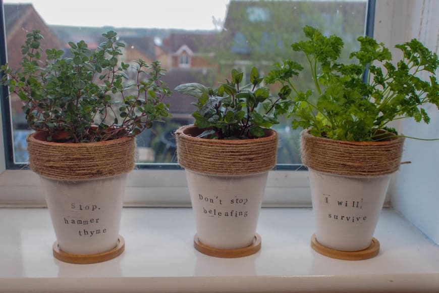 DIY Painted Terracotta Plant Pots - with Herb Puns | Mum In The Madhouse