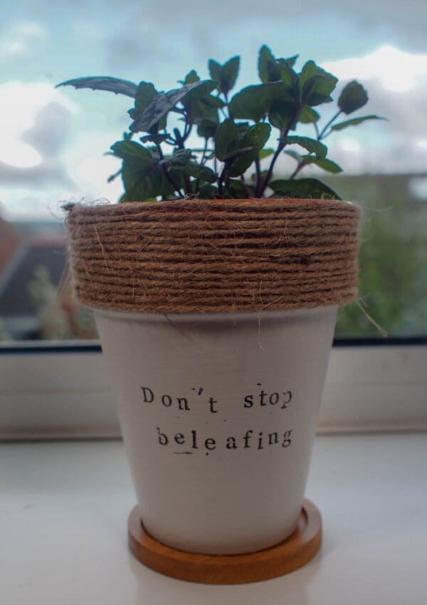 DIY Painted Terracotta Plant Pots - with Herb Puns | Mum In The Madhouse
