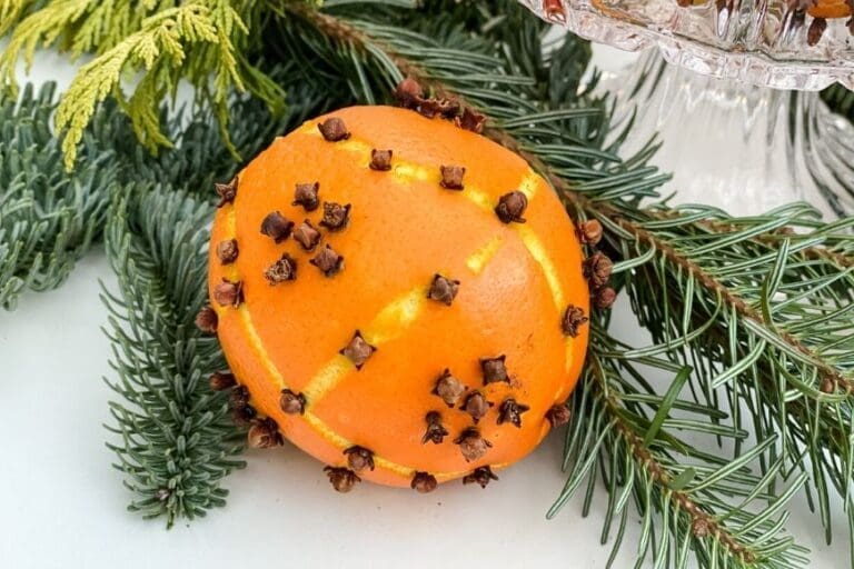 Clove and Orange Pomanders: Perfect Christmas Decorations