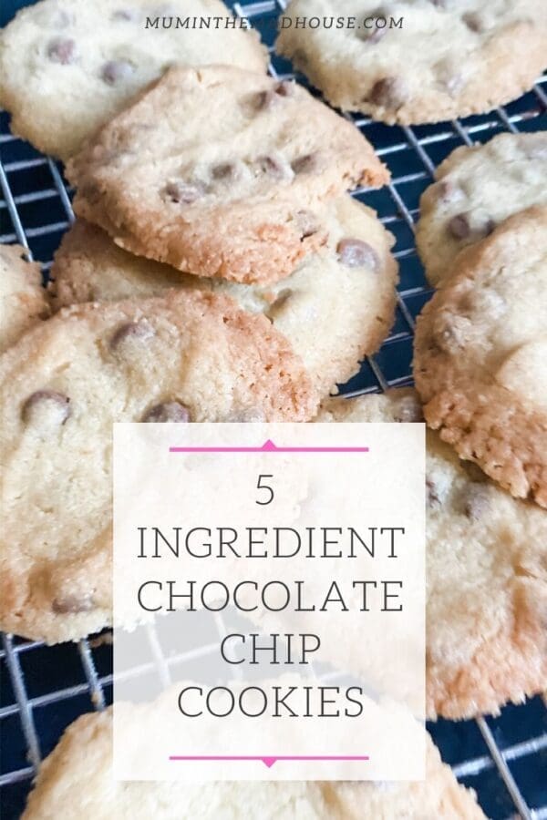 The Easiest Basic Chocolate Chip Cookie Recipe | Mum In The Madhouse
