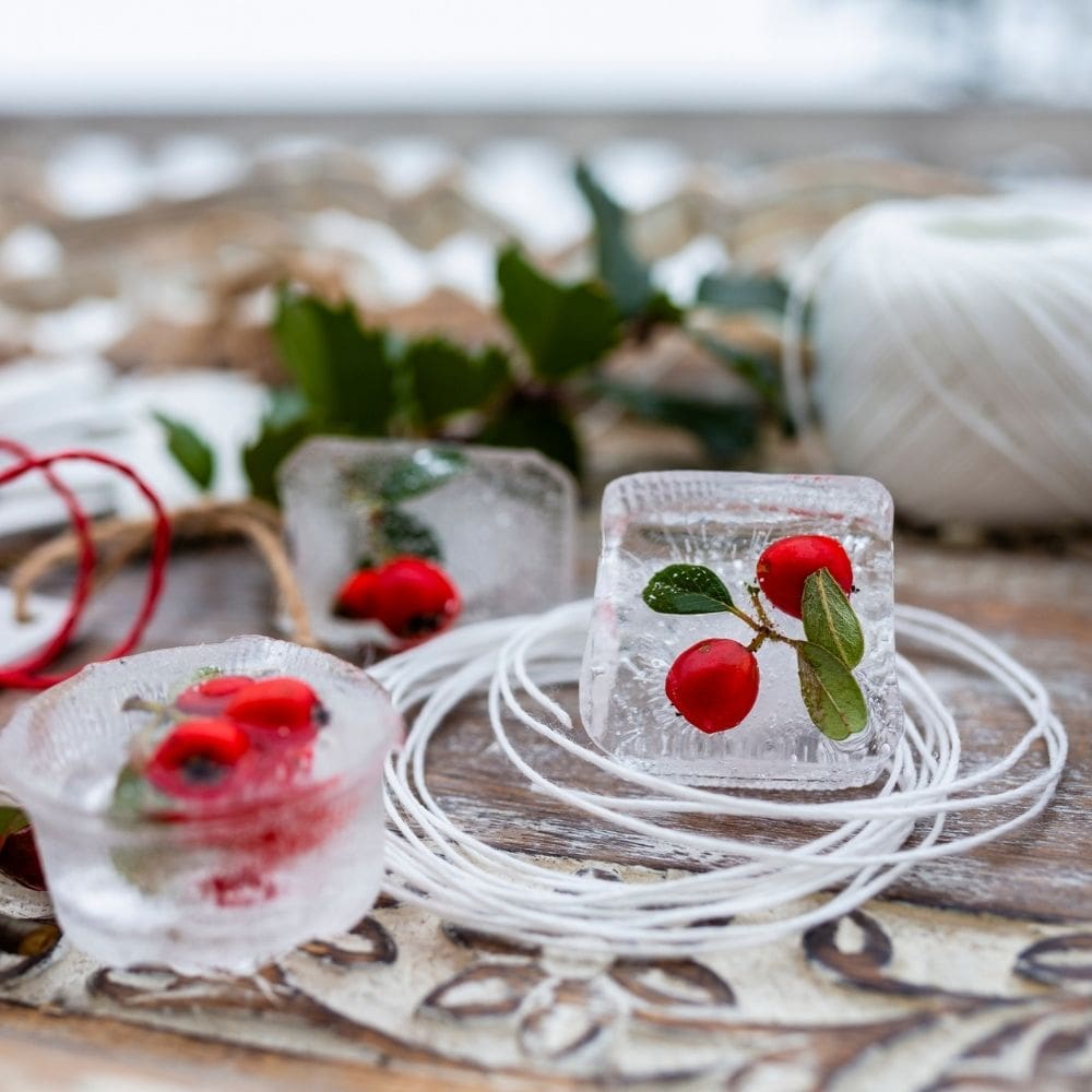 Decorating Your Garden for Christmas: Festive Ideas to Transform Your ...