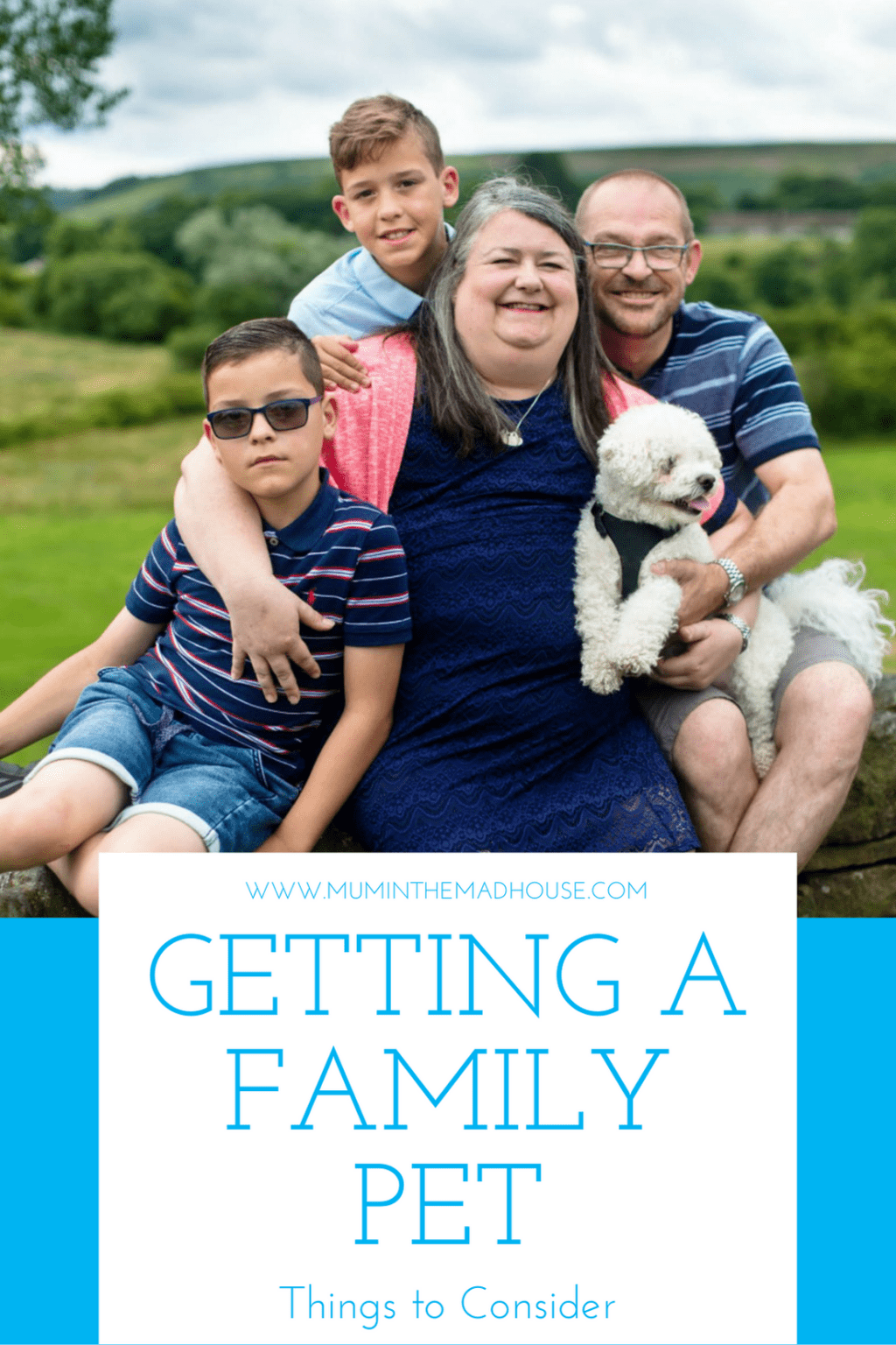 Things to Consider When Getting a Family Pet: Essential Tips for a ...