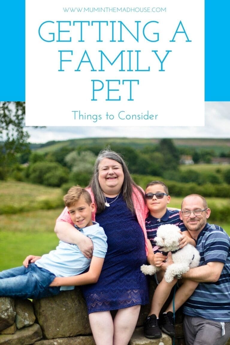 Things to Consider When Getting a Family Pet: Essential Tips for a ...