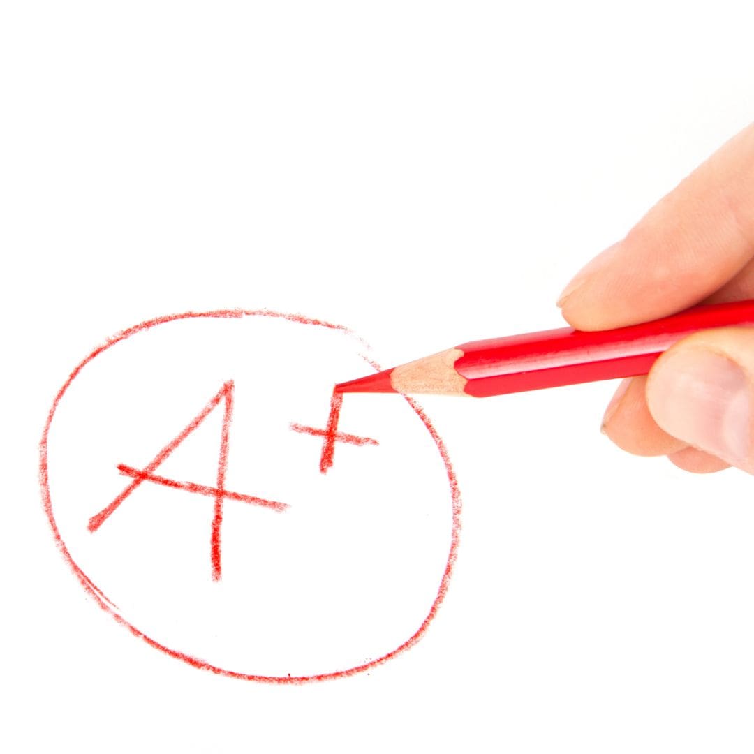 The Perfect Homework Assignment: Key Elements for Effective and ...