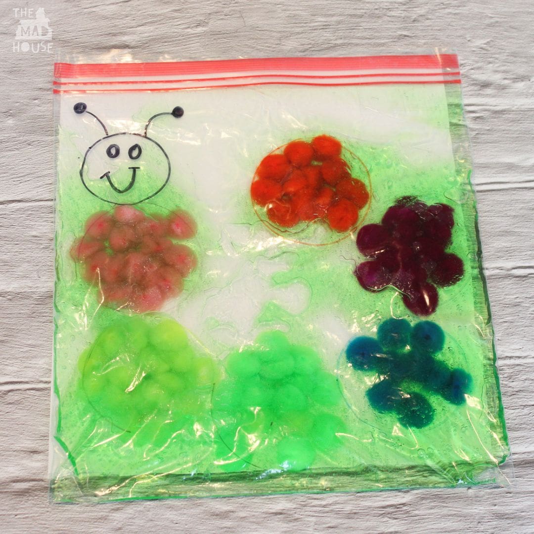 The Very Hungry Caterpillar Sensory Squish Bag