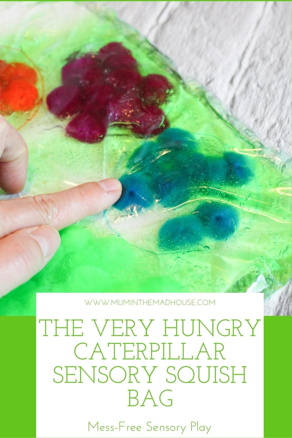 The Very Hungry Caterpillar Sensory Squish Bag