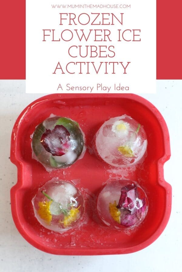 Frozen Flowers Sensory Ice Play - Cool Play for hot days