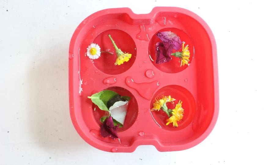 Frozen Flowers Sensory Ice Play - Cool Play for hot days