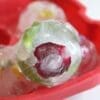 Frozen Flowers Sensory Ice Play - Cool Play for hot days