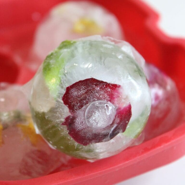 Frozen Flowers Sensory Ice Play - Cool Play for hot days