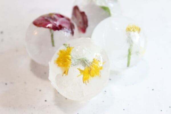 Frozen Flowers Sensory Ice Play - Cool Play for hot days