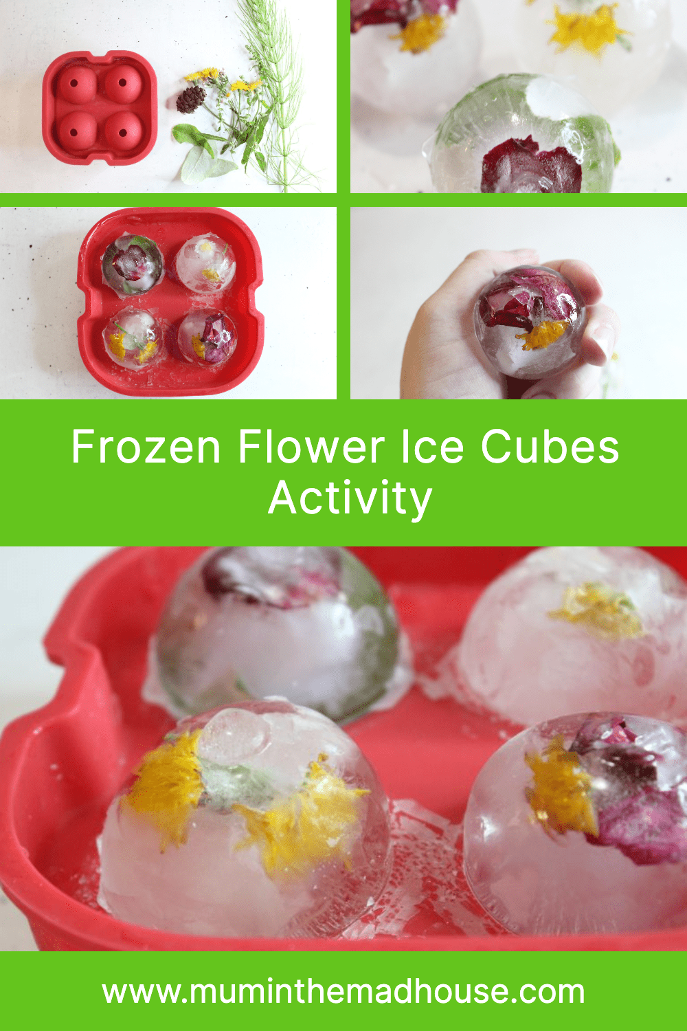 Frozen Flowers Sensory Ice Play - Cool Play for hot days