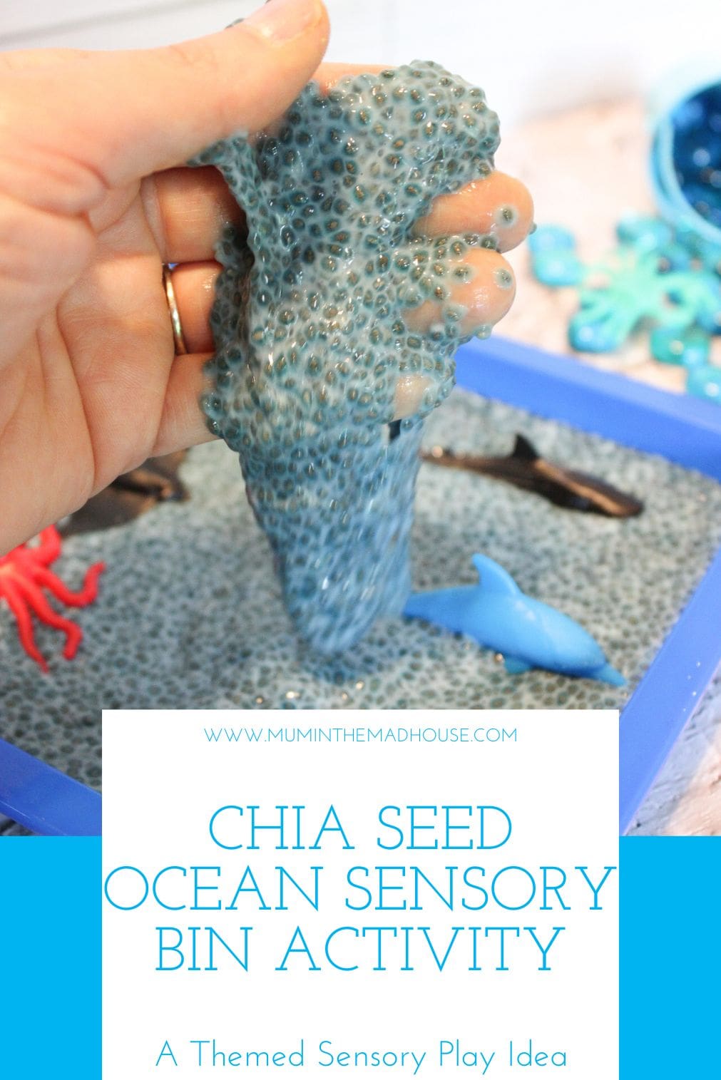 Chia Seed Ocean Sensory Bin Activity: A Themed Sensory Play Idea | Mum ...