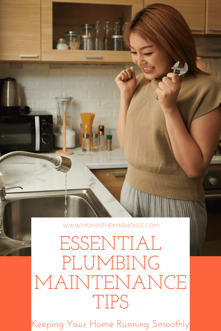 Keeping Your Home Running Smoothly: Essential Plumbing Maintenance Tips
