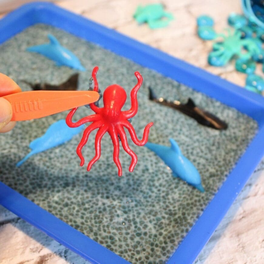 Chia Seed Ocean Sensory Bin Activity: A Themed Sensory Play Idea | Mum ...