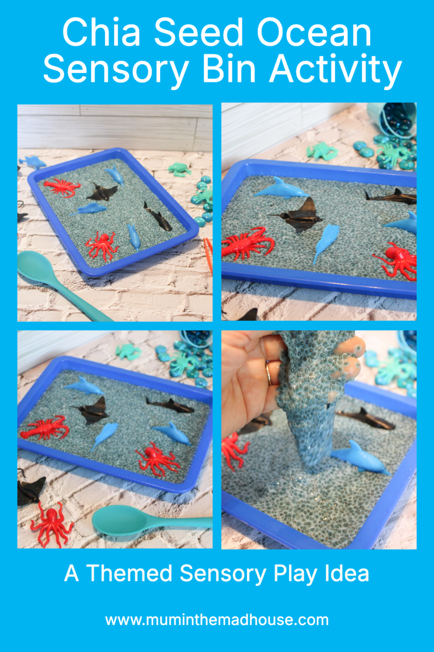 Chia Seed Ocean Sensory Bin Activity: A Themed Sensory Play Idea | Mum ...