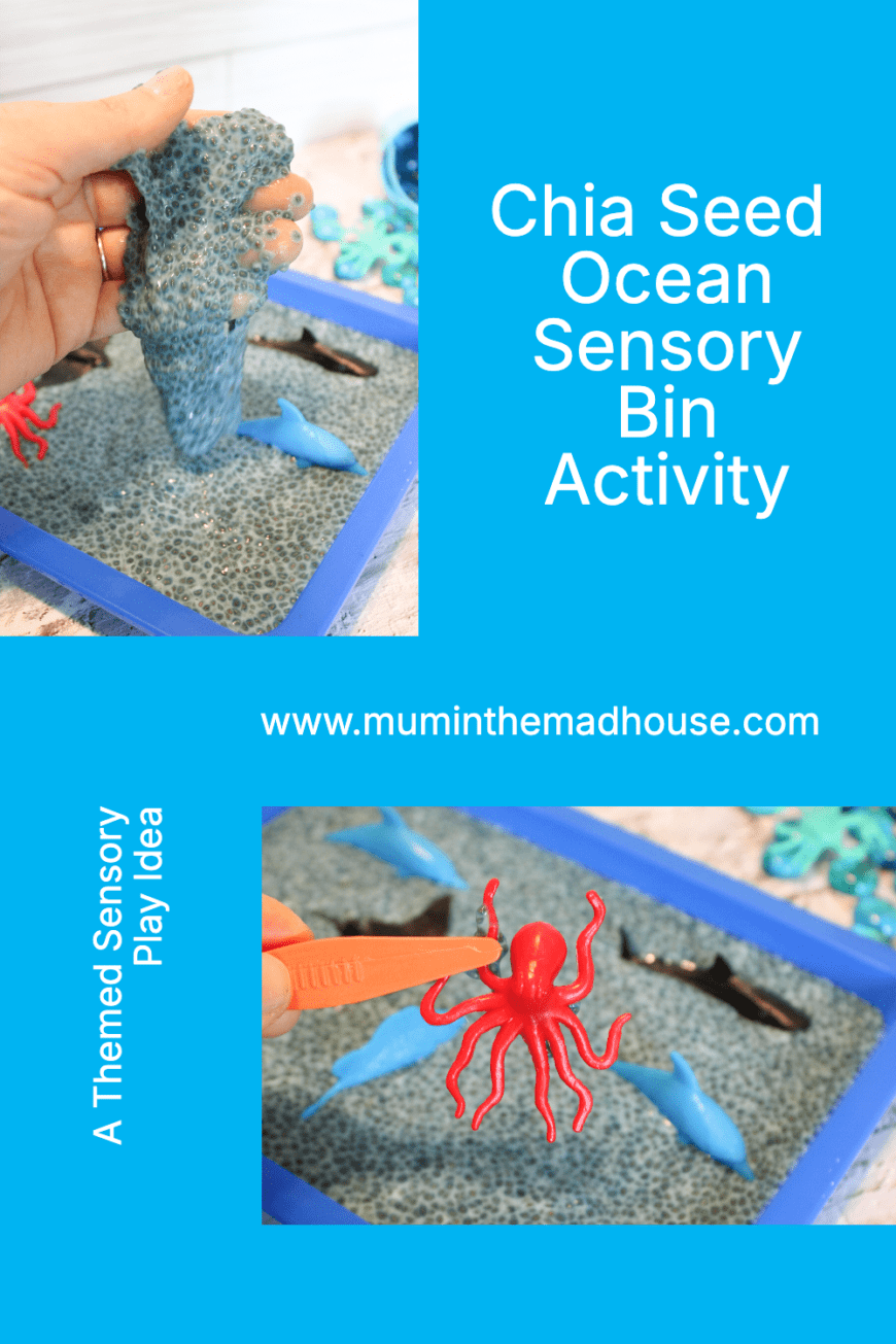 Chia Seed Ocean Sensory Bin Activity: A Themed Sensory Play Idea | Mum ...