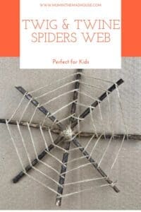 DIY Nature-Inspired Spider Web Craft | Twigs and Twine Project for Kids