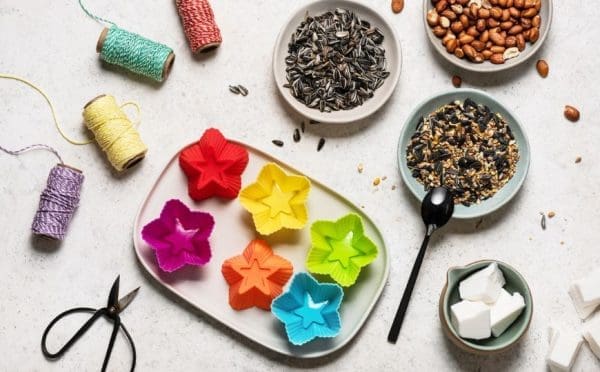 DIY Star-Shaped Birdfeeders for Kids – Easy and Fun Nature Craft