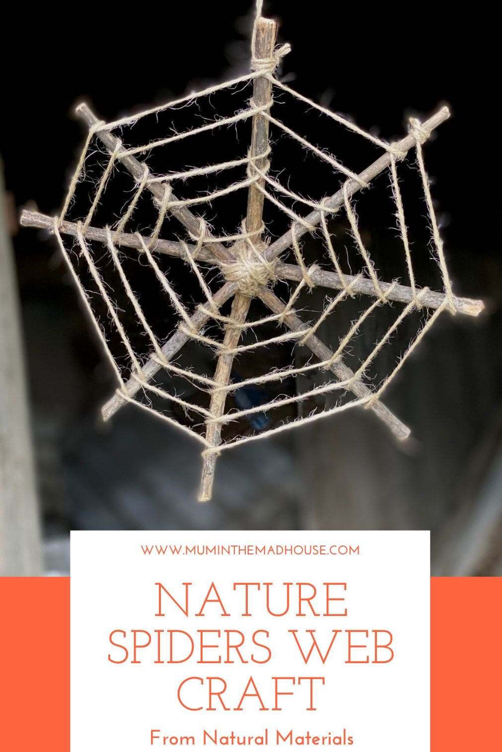 DIY Nature-Inspired Spider Web Craft | Twigs and Twine Project for Kids