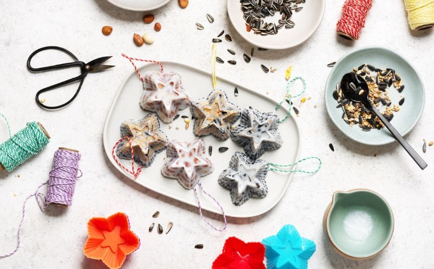 DIY Star-Shaped Birdfeeders for Kids – Easy and Fun Nature Craft