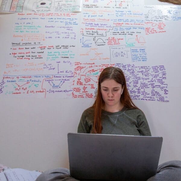 The Ultimate Study Guide: Effective Strategies for Exam Success