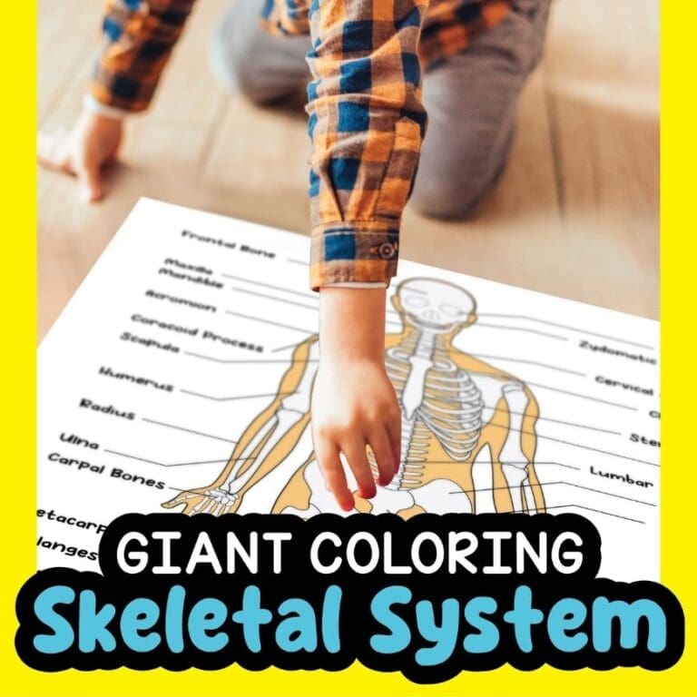 Free Giant Skeletal System Coloring Poster – 20 Pages of Educational Fun!