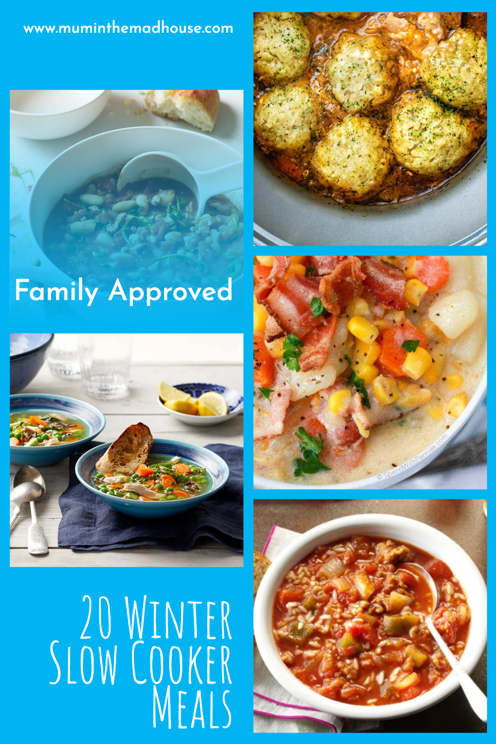 20 Winter Slow Cooker Recipes Perfect for Families | Mum In The Madhouse