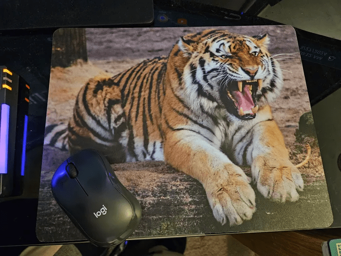 10 Creative Personalized Mouse Pad Ideas for Kids' Study Spaces
