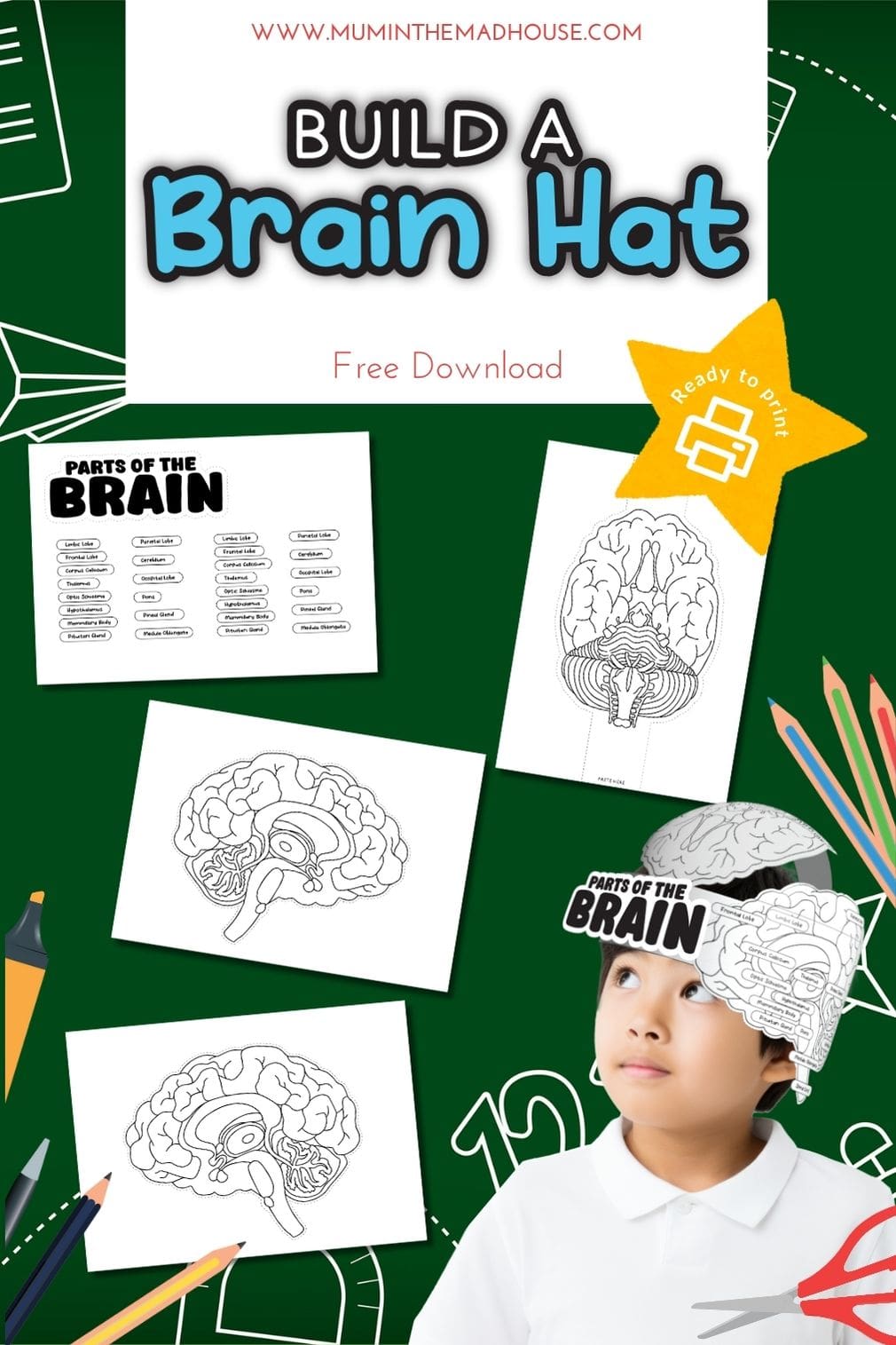 Build a Brain Hat – Free Printable for Kids to Learn Brain Anatomy
