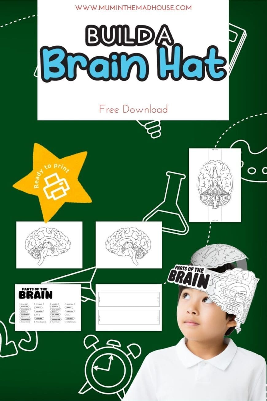 Build a Brain Hat – Free Printable for Kids to Learn Brain Anatomy