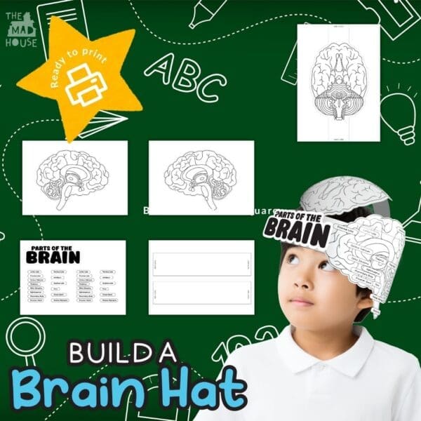 Build a Brain Hat – Free Printable for Kids to Learn Brain Anatomy
