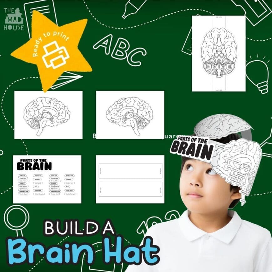 Build a Brain Hat – Free Printable for Kids to Learn Brain Anatomy