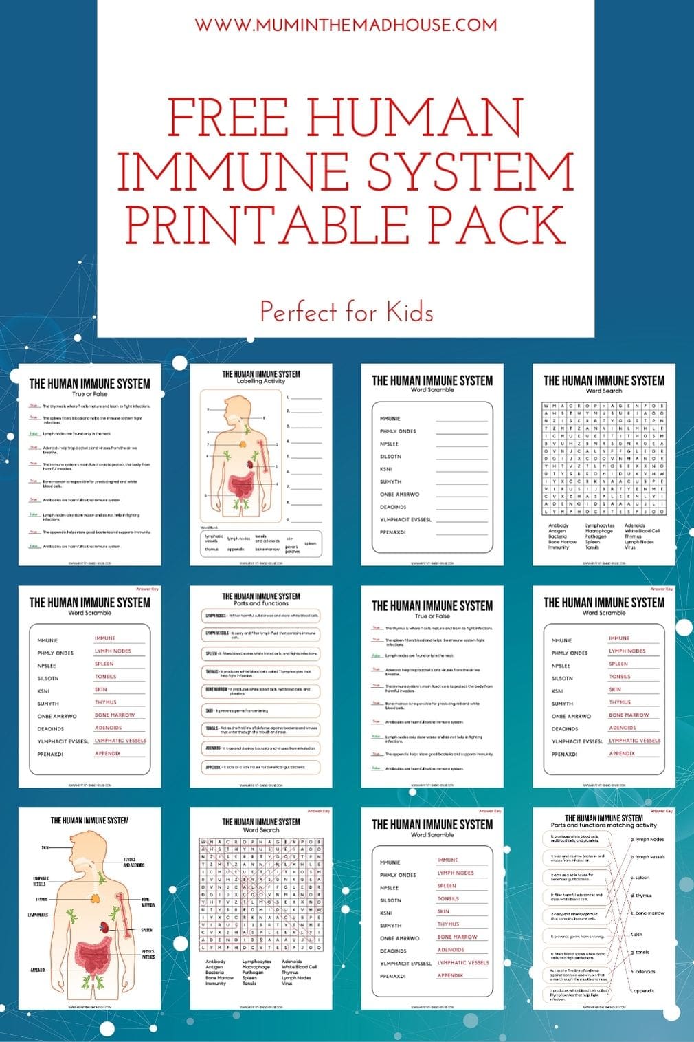 Free Printable Human Immune System Activity Pack for Kids – Fun ...