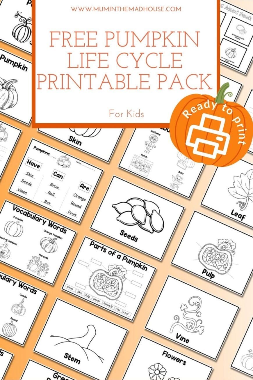 Pumpkin Life Cycle Printable – Free Educational Download for Kids