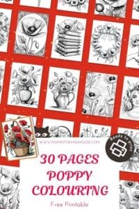 Free Poppy Colouring Pages for Teens & Adults – Remembrance Day Printable