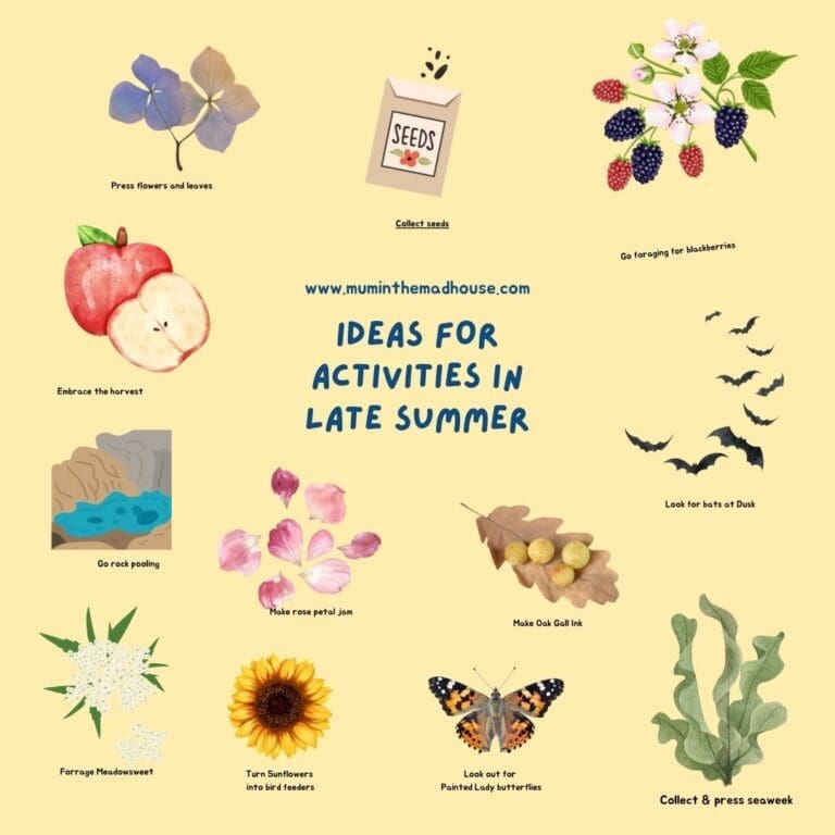 Late Summer Activities for Families – Nature-Inspired Fun Outdoors