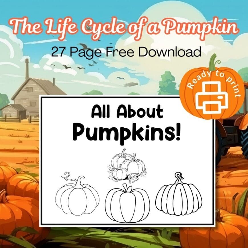 Pumpkin Life Cycle Printable – Free Educational Download for Kids
