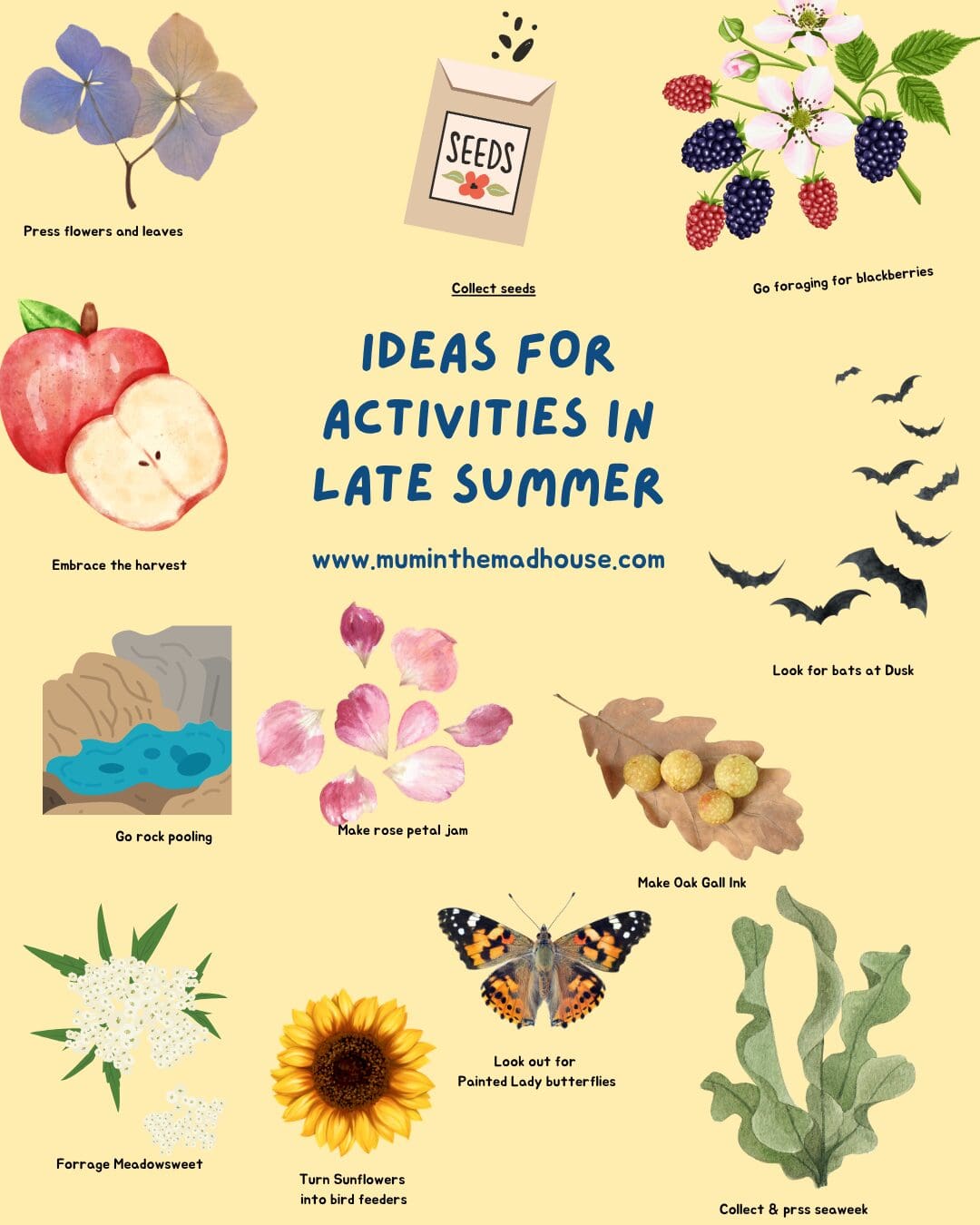 Late Summer Activities for Families – Nature-Inspired Fun Outdoors
