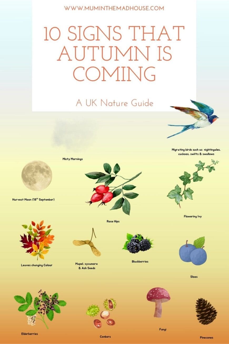 Early Autumn in the UK: Signs to Look Out For