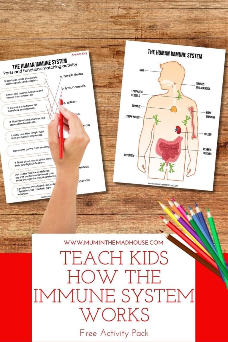 Free Immune System Activity Sheets – Printable Science Pack for Kids