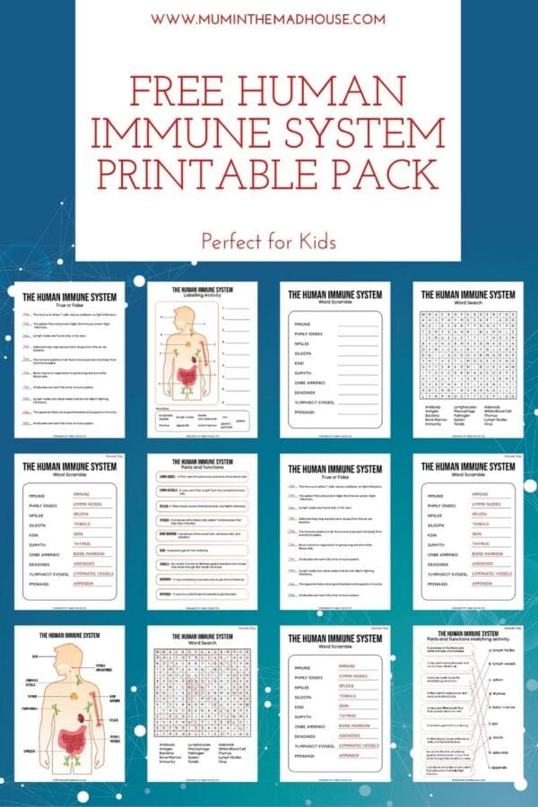 Free Immune System Activity Sheets – Printable Science Pack for Kids